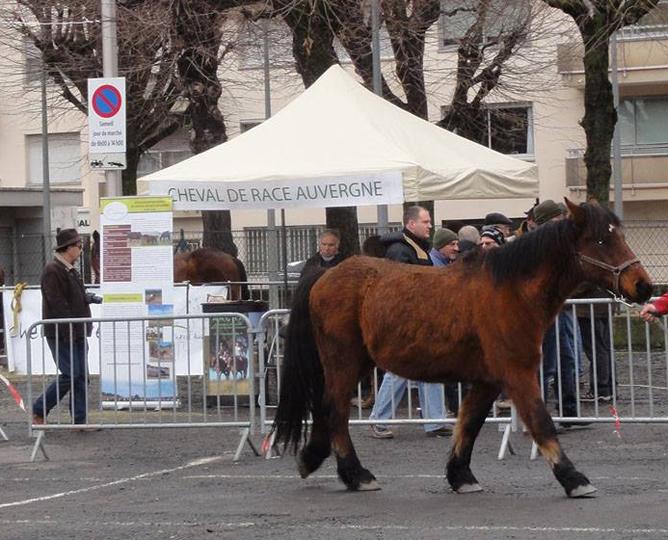 Les engagements pour les concours 2023 sont ouverts. | Association ...